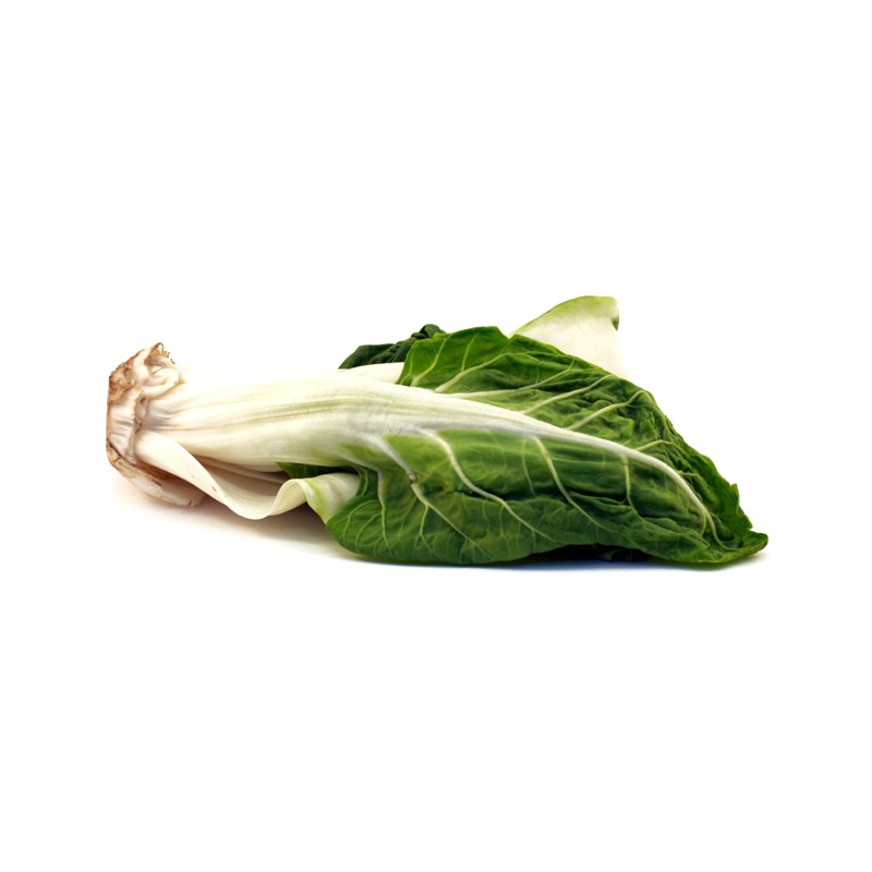 Biete A Coste Verdura Fresca Invernale 1 Kg Circa | Cicalia.com