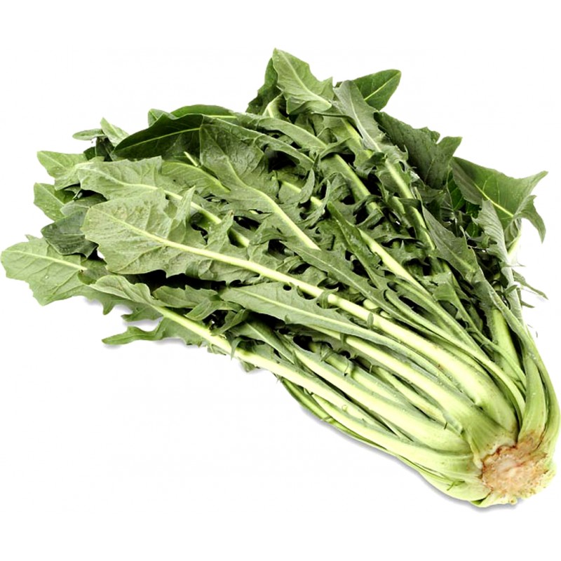 Catalogna Cicoria Di Campagna Verdura Fresca 1 Kg Circa | Cicalia.com