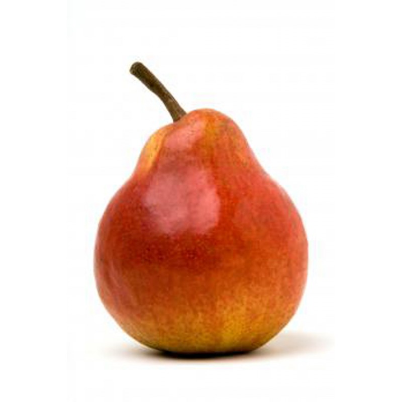 Pere Williams Rosse in conf. da kg. 1 | Ordina su Cicalia.com