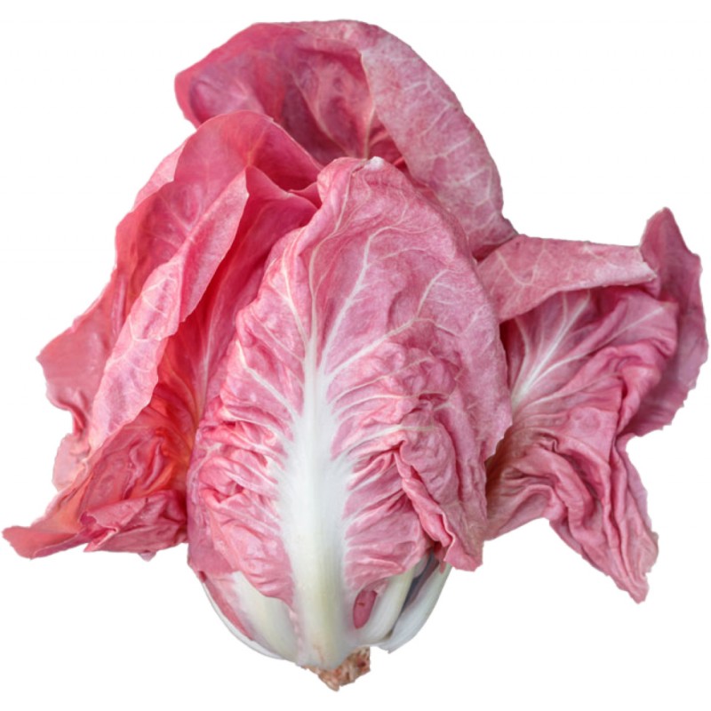 Radicchio Rosa Sfuso Verdura Fresca 500 Gr | Cicalia.com
