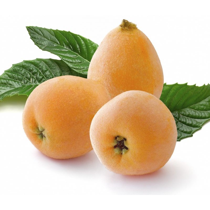 Nespole Europee Frutta Fresca 500 Gr | Cicalia.com