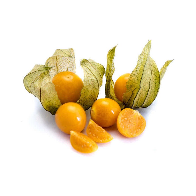 Physalis della Colombia gr.100 | Ordinali ora su Cicalia
