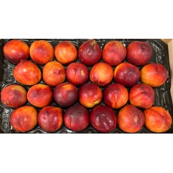 pesche nocine gialle cal.24 cass.kg.3,7